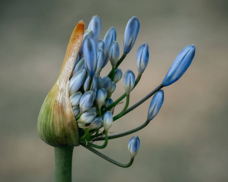 The Metamorphosis of Humans | Mevisto Blog